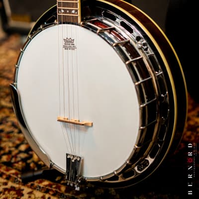 Alvarez Fancy Masterclone-Minty 5 String Banjo Japan Made | Reverb
