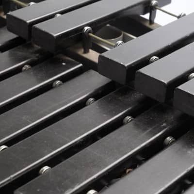 Musser M67 Kelon 3.5 Octave Student Practice Xylophone #52634 | Reverb