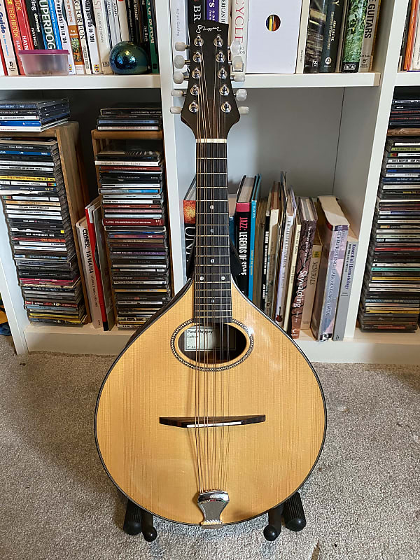 Paul Shippey 10 String Rosewood Mandolin 2011 - natural | Reverb