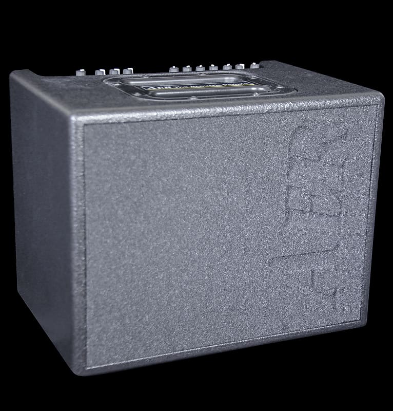 AER Compact 60/4 1x8'' 60-Watt Acoustic Guitar Combo | Reverb