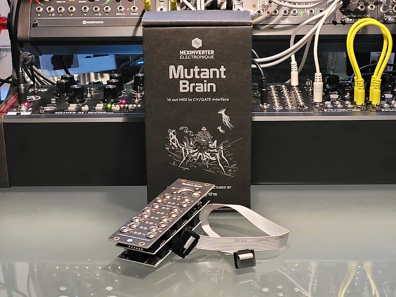 Hexinverter Mutant Brain - 2024 - black | Reverb