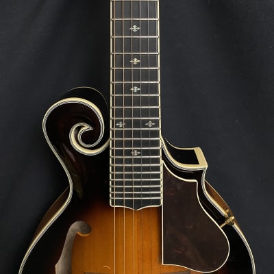 Gold Tone F-6+ Mando-Guitar 6-String Mandolin w/pickup, | Reverb