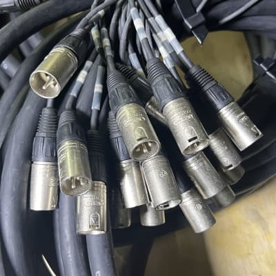 CBI Cables 24ch ISO 50 ft XLR Snake In Ear System Splitter - | Reverb