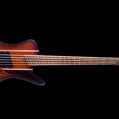 Dingwall D-Roc Standard 5 - Matte Vintageburst | Reverb