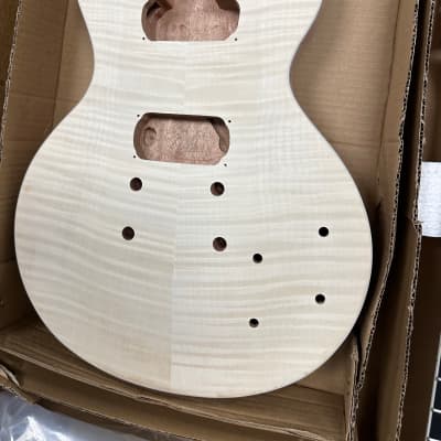 Les Paul DIY Guitar Kit set neck with carved maple top | Reverb