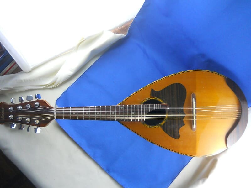 INTEX MANDOLIN BOWL BACK | Reverb