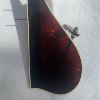 Gibson style Cumberland a model mandolin pickguard | Reverb