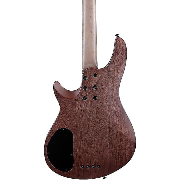 Schecter Omen Elite-5 | Reverb