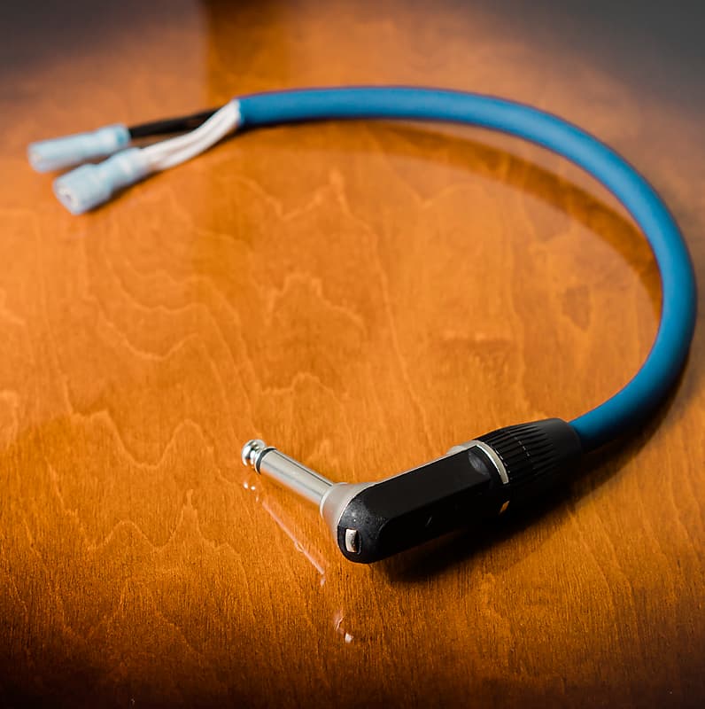 Fender Blues Jr. Speaker Cable Upgrade by Fargen Amps | Reverb UK