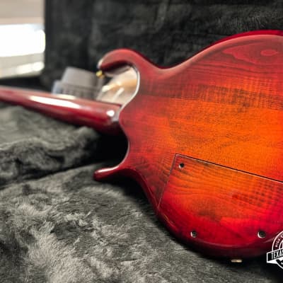 Pedulla Pentabuzz 5-string Fretless Buzz Bass 2003 - Cherry | Reverb