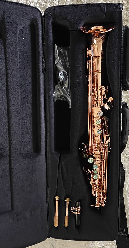 Saxgourmet Soprano Sax SG-LAX Solid Silver Bell and Neck plus | Reverb