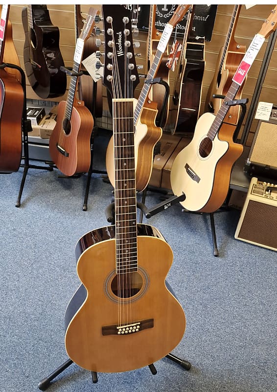 WOODSTOCK 12 String Acoustic Guitar (SECOND HAND) | Reverb