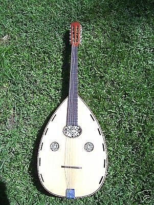 Lute, 10 string instrument | Reverb