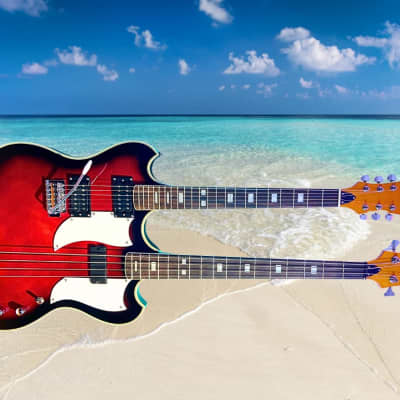 NEW DOUBLE NECK GUITAR BASS COMBO SIX STRING GUITAR FIVE BASS | Reverb