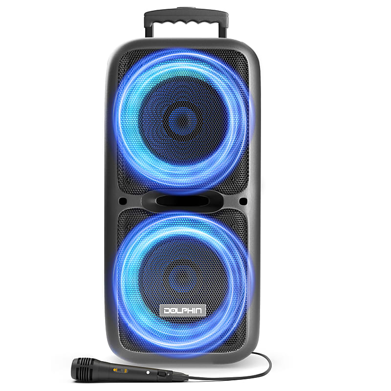 Dolphin SP-2120RBT arty Speakers - Portable & Rechargeable | Reverb
