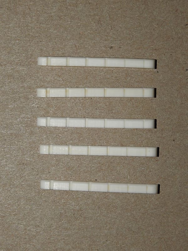 5 Pre Slotted Genuine Bone Nuts Flat Bottom 42mm Bleached For | Reverb