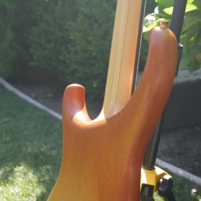 Alembic Orion 5 string | Reverb