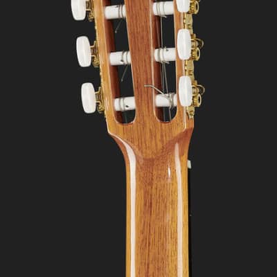 Raimundo Model 660 E Cedar 4/4 Classical Guitar with | Reverb UK