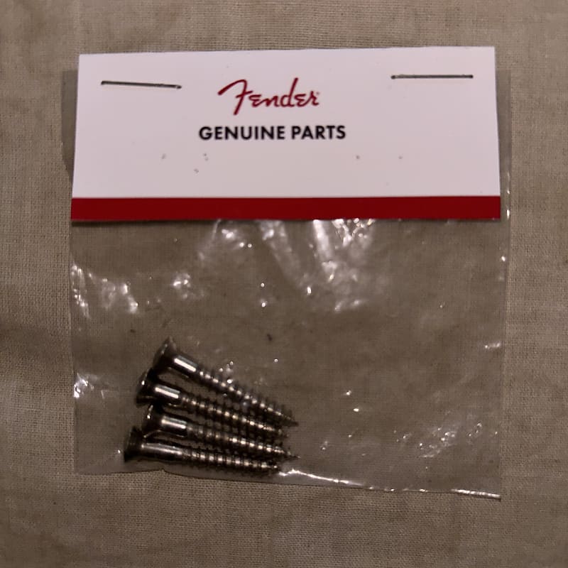 FENDER TELECASTER VINTAGE ASHTRAY SCREWS, roundhead | Reverb