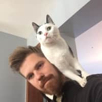 Crumar ACD synthesizer Module | Reverb