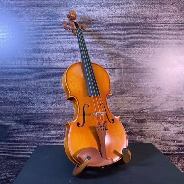 Eastman VA200 15.5" Intermediate Viola (Phoenix, AZ) | Reverb