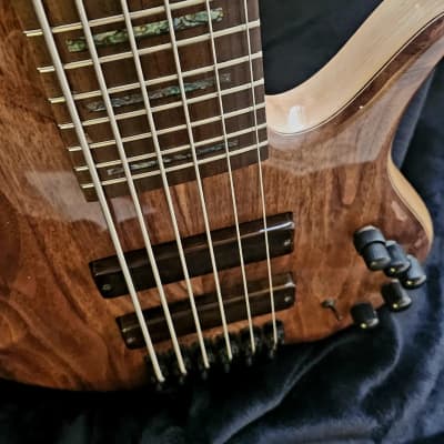 SJ Custom Guitars 6 string bass ,walnut, Ash, Bartolini, | Reverb