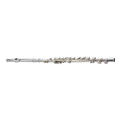 Antigua FL2110SL Vosi Closed Hole Flute | Reverb