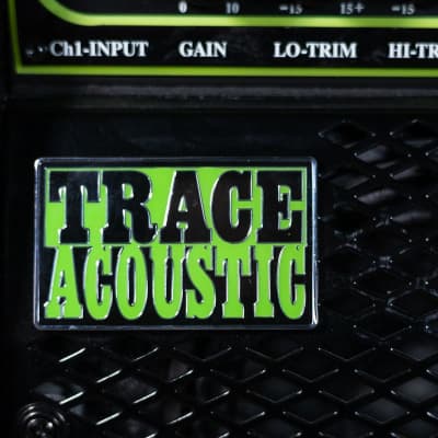 Trace Elliot TA-100 Combo Acoustic Amplifier With Pedal and | Reverb