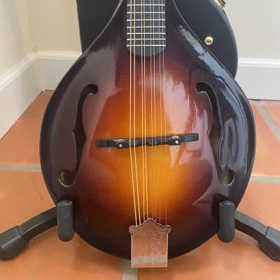 Stradolin Mandolin A Style 1950's Vintage | Reverb