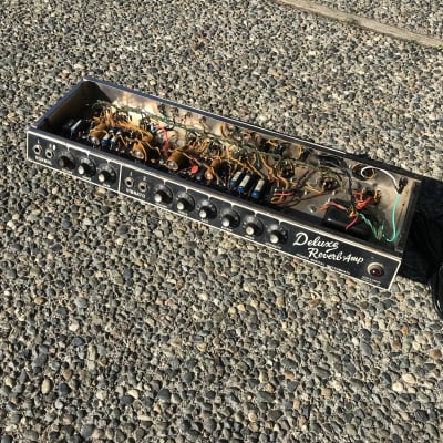 Fender Deluxe Reverb Chassis 1965 Blackface | Reverb