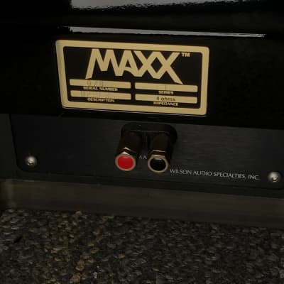 Wilson Audio Maxx Series 2 Towers Speakers (Pair) | Reverb
