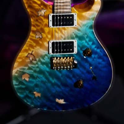 PRS Private Stock 10302 Custom 24 Falling Leaves Beach | Reverb