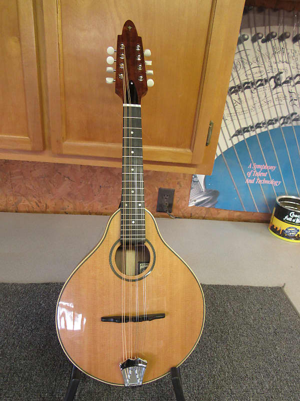 Beard Celtic Mandolin | Reverb