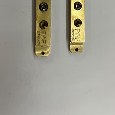 Warmoth Meadowhawk Fusion Burl 2023 - Clear gloss | Reverb