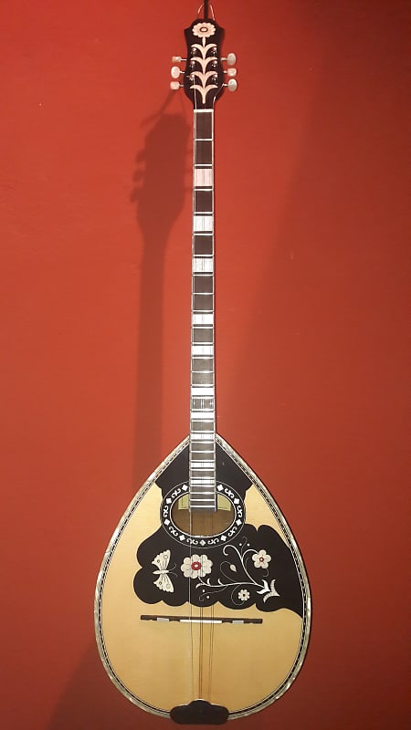 Greek Bouzouki with hardcase and pickup 6 string | Reverb