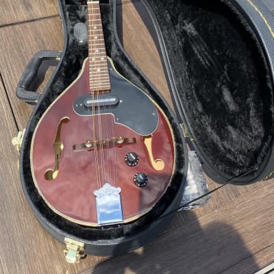 Goya C.F. Martin Vintage Instrument 8 String Mandolin 1992 | Reverb