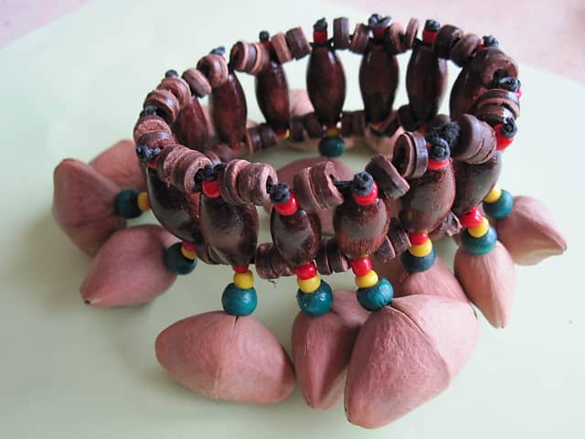 Pearl Kenari Nut Bracelet Shaker | Reverb