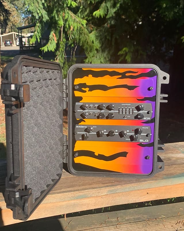 Burns Delta Model 4 Slot Case, Bengal Tiger Lynch Sunset, | Reverb