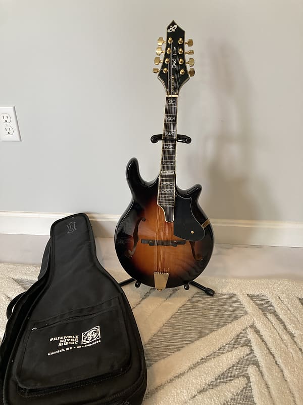 Gold Tone Mandolin GM-110 Rigel 2018 - Sunburst | Reverb