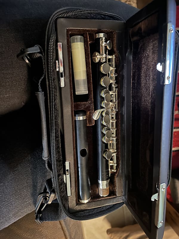 Di Zhao DZP 201 piccolo | Reverb