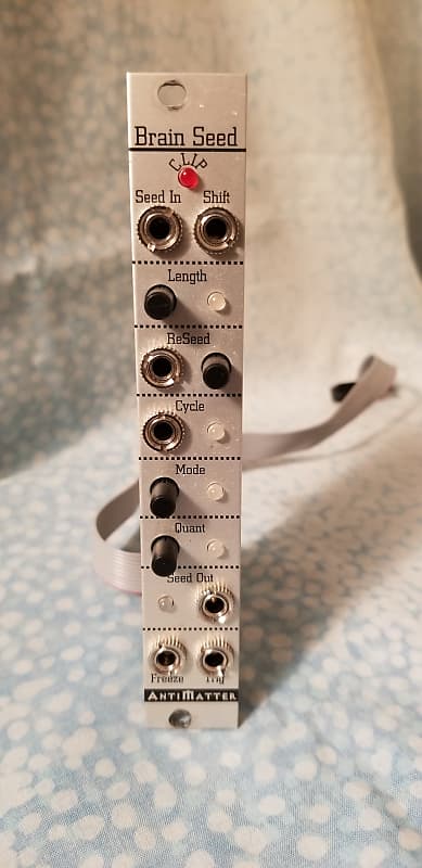 Antimatter Brain Seed - Silver | Reverb