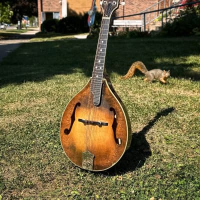 Stiver Model A Mandolin (1992) | Reverb