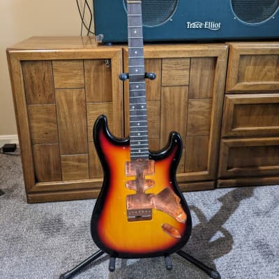 Project Guitar Husk | Reverb