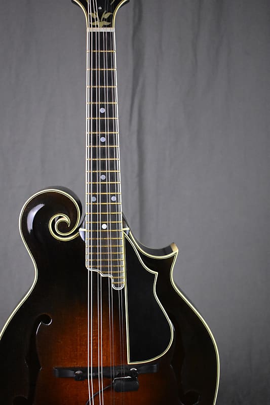 2017 Elkhorn F-5 Fern | Reverb