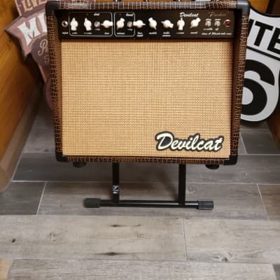 Devilcat Packer Guitar Amplifier 30W 1x12" Tube Combo w/ | Reverb