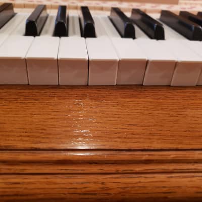 88 Mint unused Fender Rhodes keys for the 88 or 73 key | Reverb