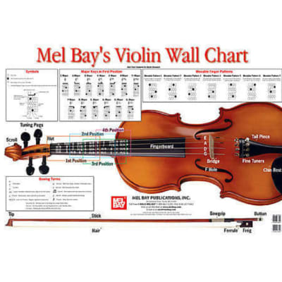 Cello Wall Chart Free Mel Bay Upright Bass Wall Chart | Guitar Center ...