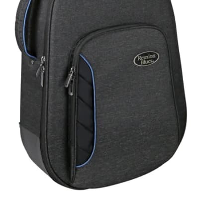 Reunion Blues RB Voyager Continental Banjo Case | Reverb