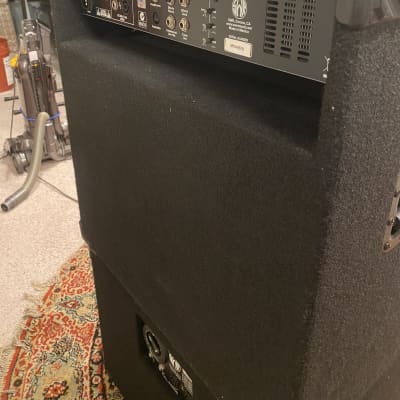SWR Working Man Pro (w/2x10) Combo | Reverb