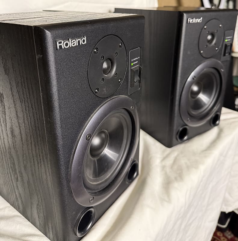 Roland DS-5 Bi-amp monitors powered studio monitors | Reverb